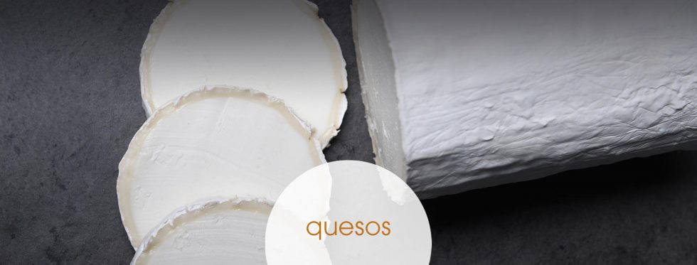 Quesos con mohos externos | Quesos de España